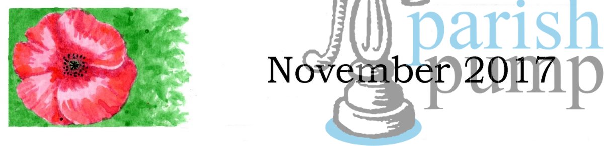 PP Header – Poppy flower – colour nov17 fr – Parish Pump Ltd